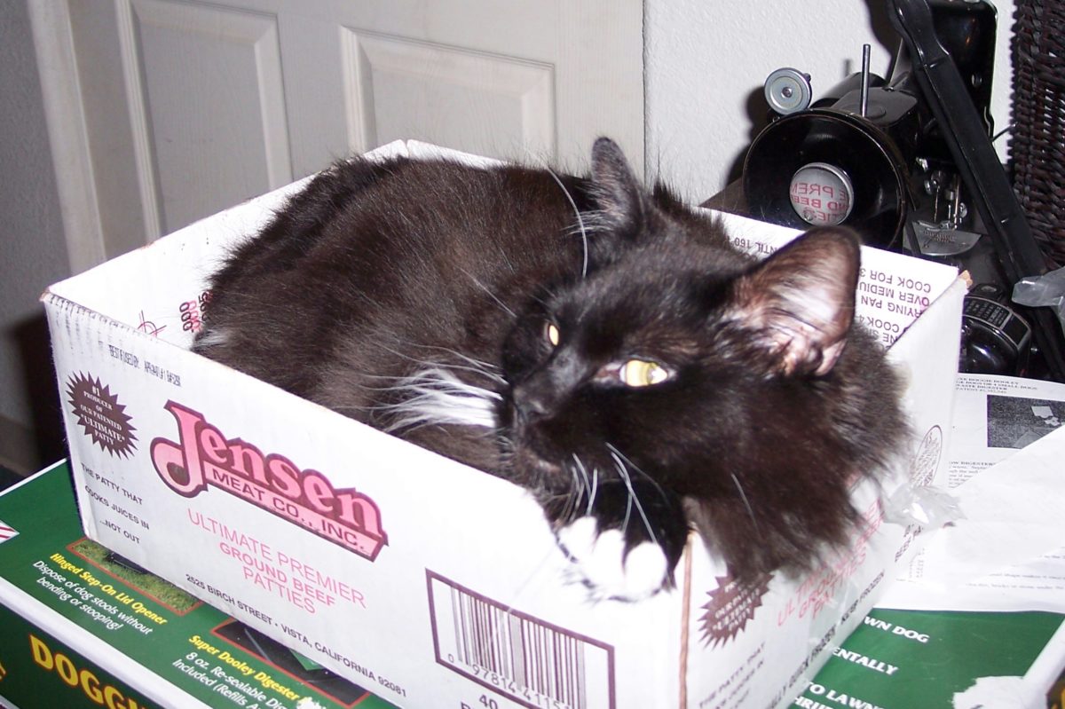 Rethinking Comfort Measures – Noli Timere Messorem